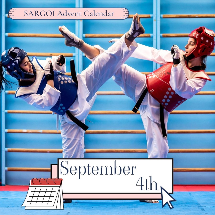 Taekwondo Day | SARGOI language school
